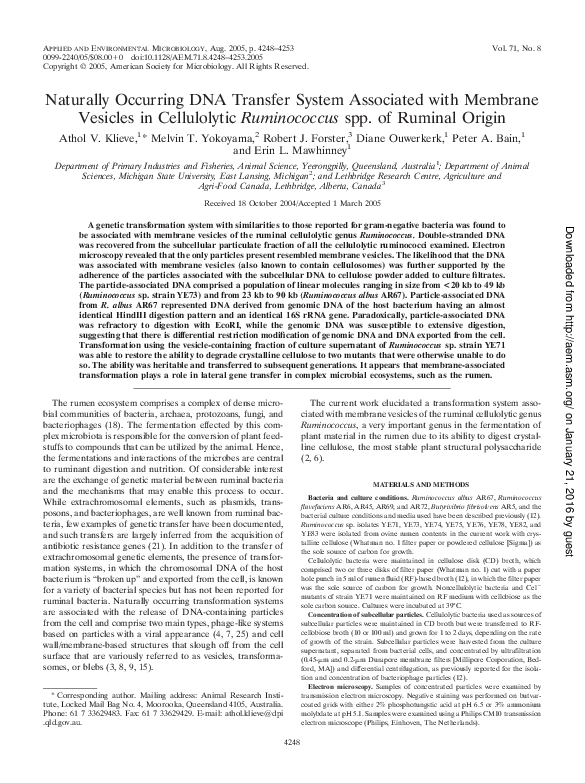 (PDF) Naturally Occurring DNA Transfer System Associated With Membrane ...