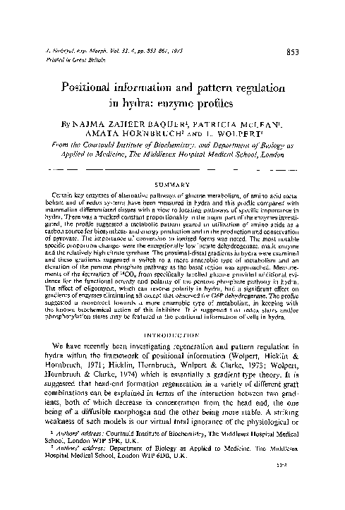 (PDF) Positional information and pattern regulation in hydra: Enzyme ...