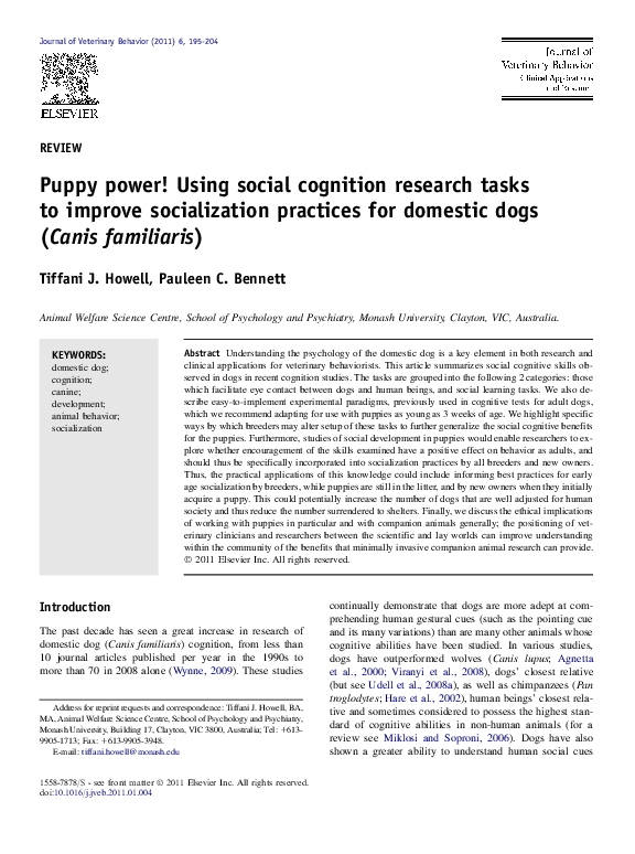 (PDF) Puppy power! Using social cognition research tasks to improve ...
