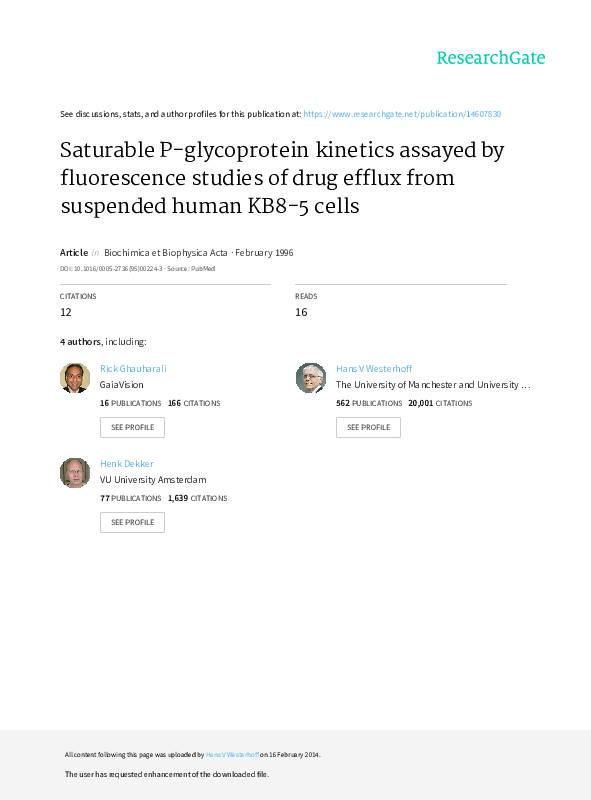 (PDF) Saturable P-glycoprotein kinetics assayed by fluorescence studies ...