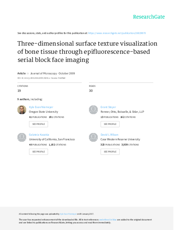 (PDF) Three‐dimensional surface texture visualization of bone tissue ...