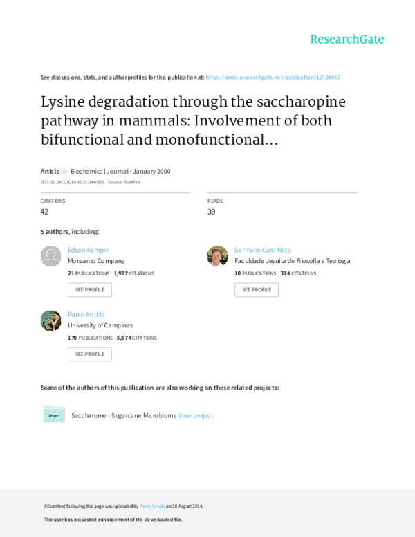 (PDF) Lysine degradation through the saccharopine pathway in mammals ...