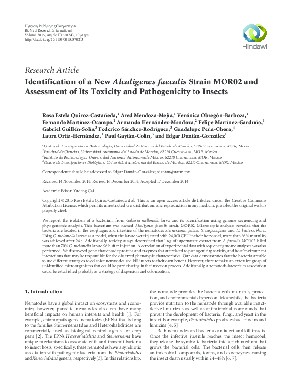 (PDF) Identification of a New Alcaligenes faecalis Strain MOR02 and ...