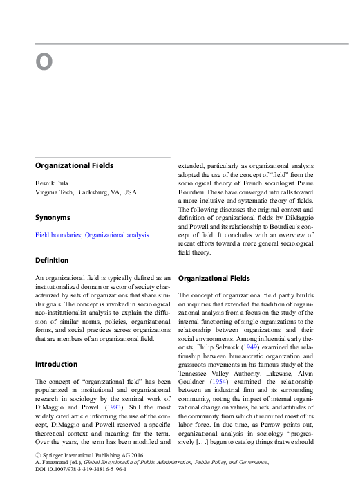 (PDF) Organizational Fields