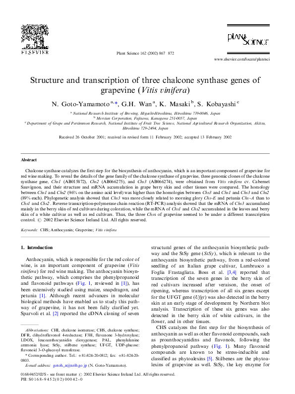 (PDF) Structure and transcription of three chalcone synthase genes of grapevine (Vitis vinifera)