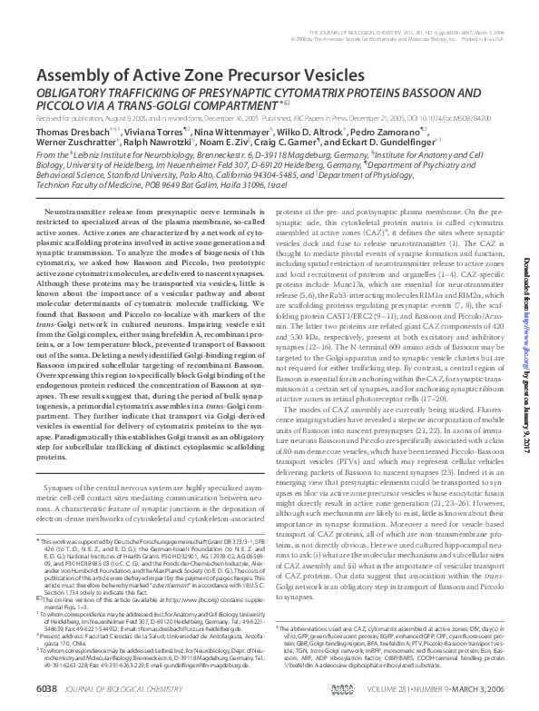 (PDF) Assembly of Active Zone Precursor Vesicles