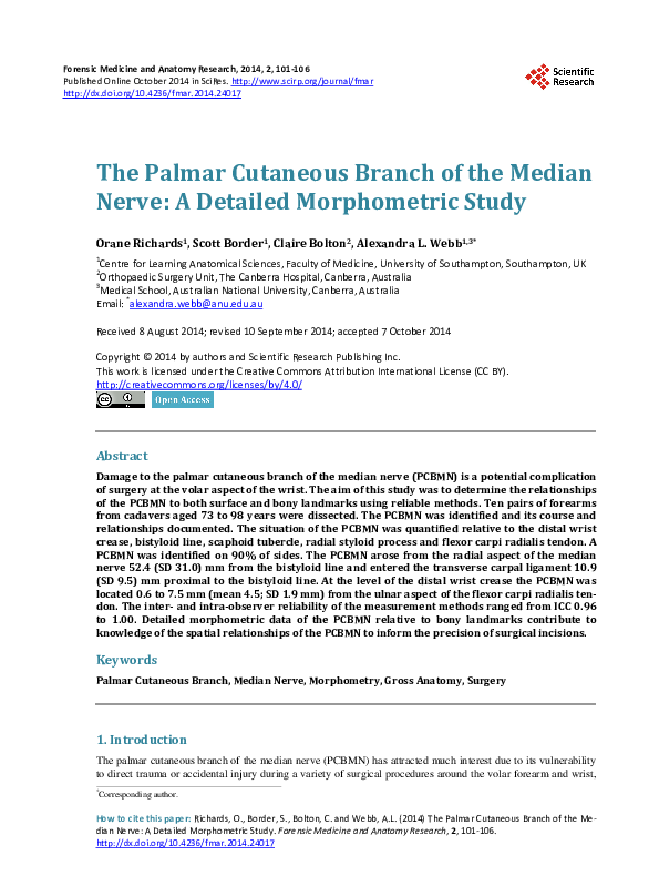 (PDF) The Palmar Cutaneous Branch of the Median Nerve: A Detailed ...