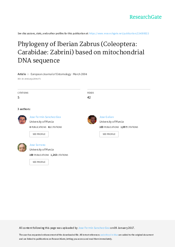(PDF) Phylogeny of Iberian Zabrus (Coleoptera: Carabidae: Zabrini ...