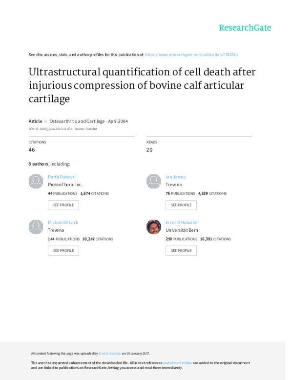 (PDF) Ultrastructural quantification of cell death after injurious ...