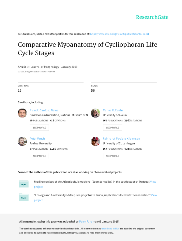 (PDF) Comparative myoanatomy of cycliophoran life cycle stages