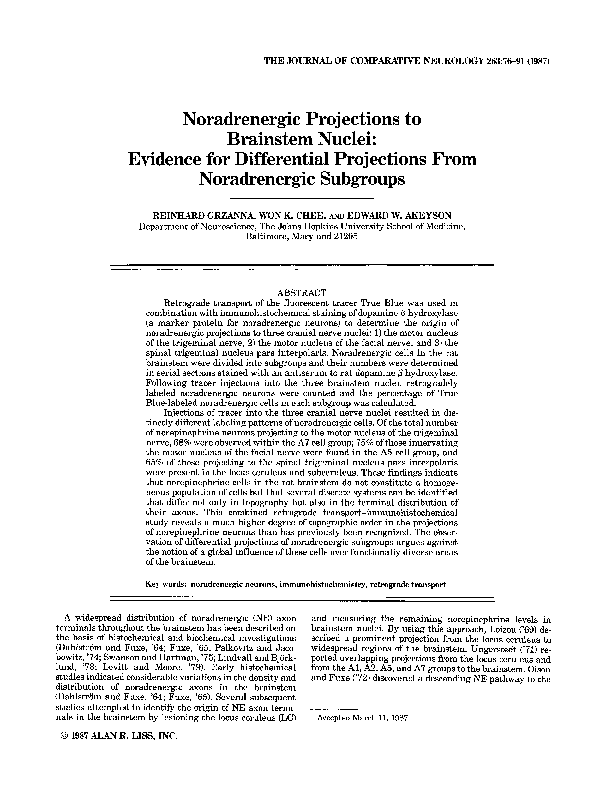 (PDF) Noradrenergic projections to brainstem nuclei: Evidence for ...