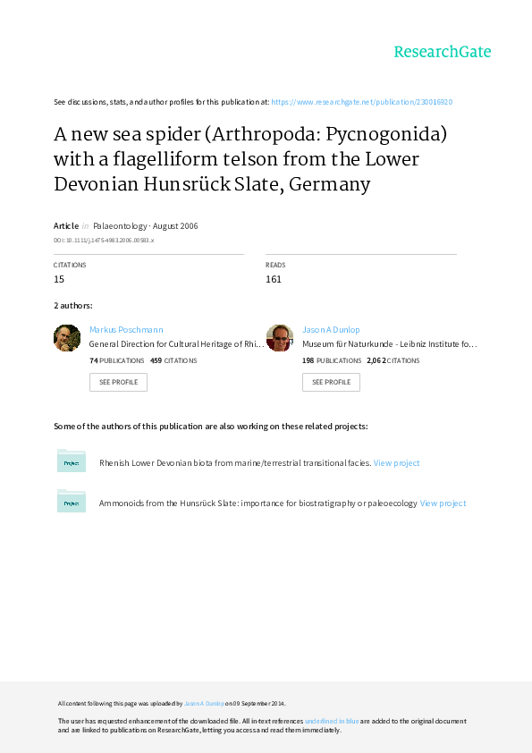 (PDF) A new sea spider (Arthropoda: Pycnogonida) with a flagelliform ...