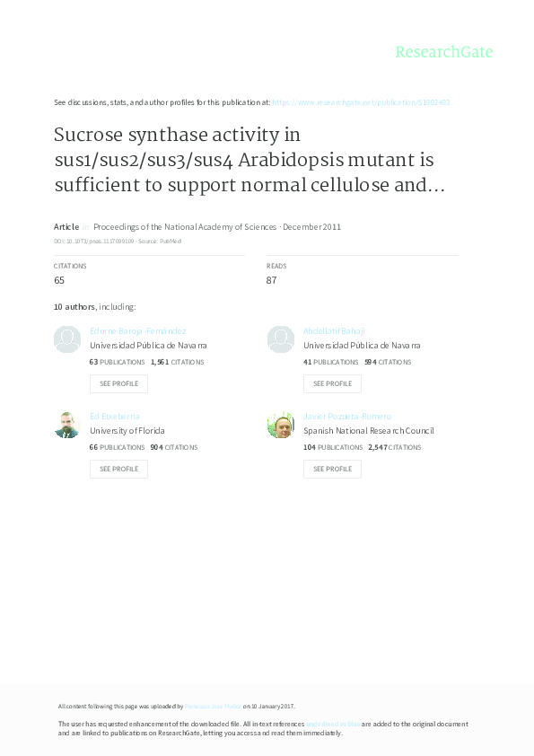 (PDF) Sucrose synthase activity in the sus1/sus2/sus3/sus4 Arabidopsis ...