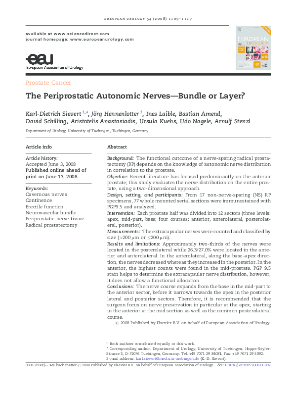 (PDF) The Periprostatic Autonomic Nerves—Bundle or Layer?
