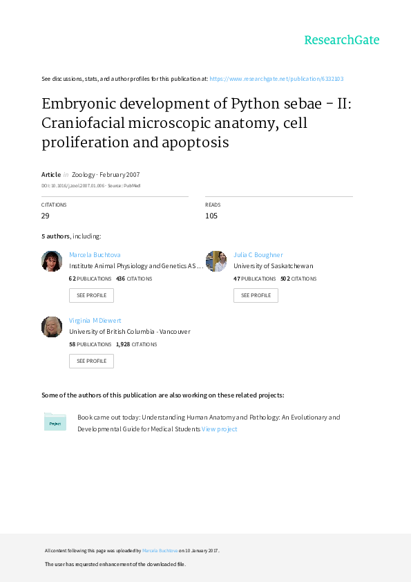 (PDF) Embryonic development of Python sebae-II: Craniofacial microscopic anatomy, cell ...