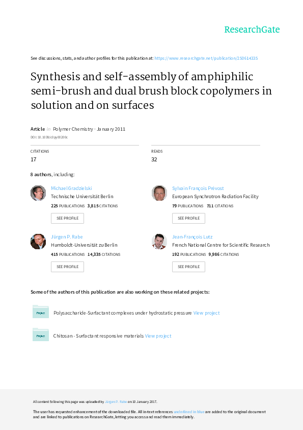 (PDF) Synthesis and self-assembly of amphiphilic semi-brush and dual brush block copolymers in ...