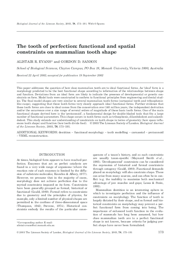 (PDF) The tooth of perfection: functional and spatial constraints on ...
