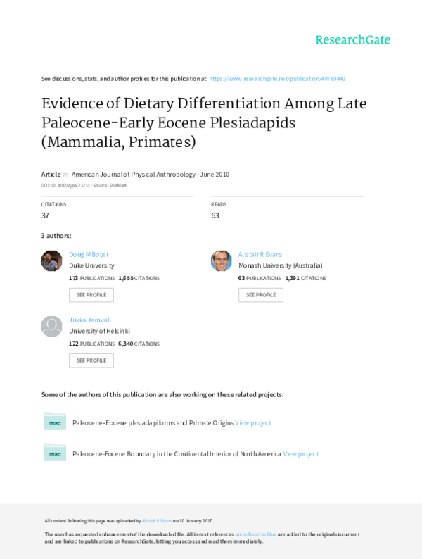 (PDF) Evidence of dietary differentiation among late Paleocene early ...