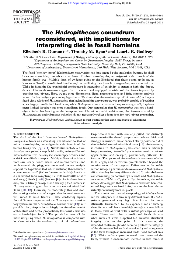 (PDF) The Hadropithecus conundrum reconsidered, with implications for ...