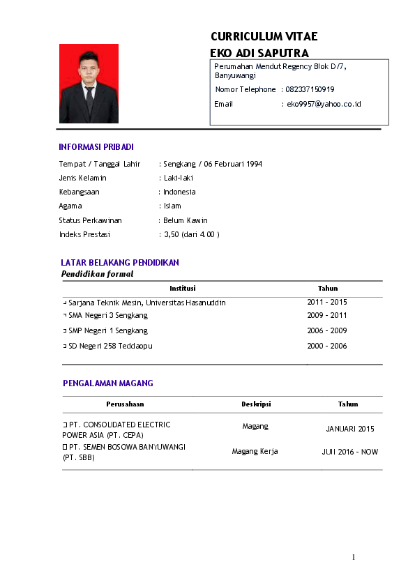 (PDF) LATAR BELAKANG PENDIDIKAN Pendidikan formal EKO ADI SAPUTRA CURRICULUM VITAE