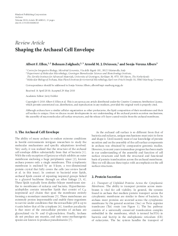 (PDF) Unique Features of Archaeal Cell Envelopes
