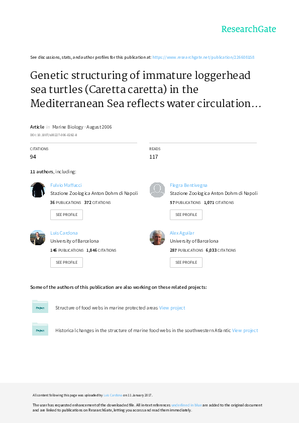 (PDF) Genetic structuring of immature loggerhead sea turtles (Caretta ...