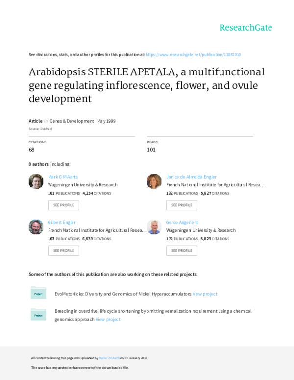 (PDF) Arabidopsis STERILE APETALA, a multifunctional gene regulating ...