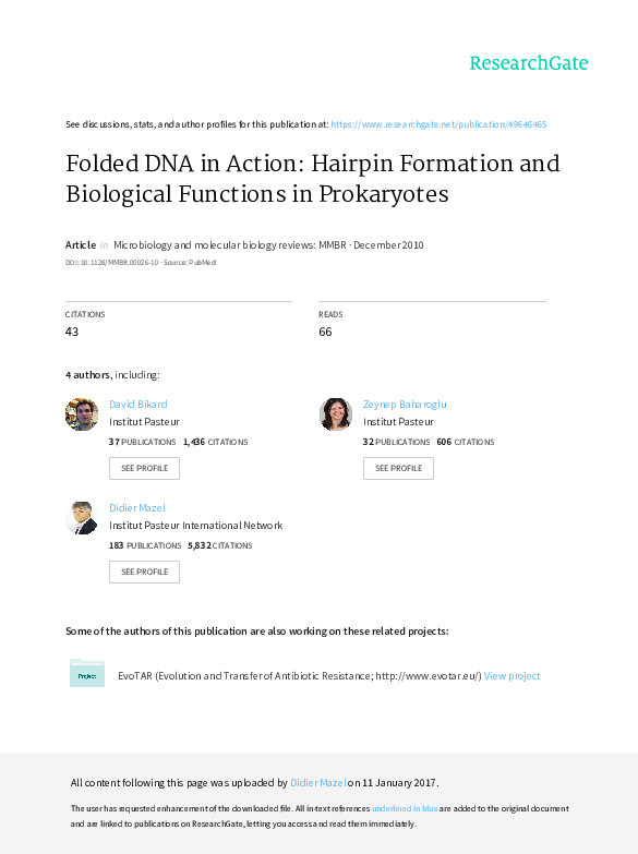 (PDF) Folded DNA in Action: Hairpin Formation and Biological Functions ...