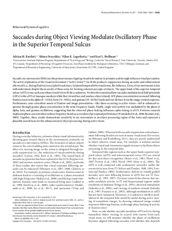 (PDF) Saccades during Object Viewing Modulate Oscillatory Phase in the Superior Temporal Sulcus ...