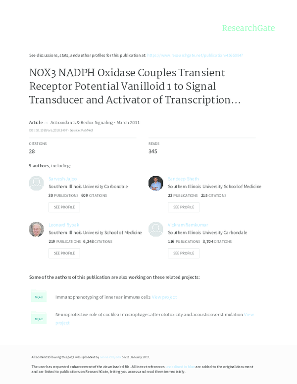 (PDF) NOX3 NADPH oxidase couples transient receptor potential vanilloid ...