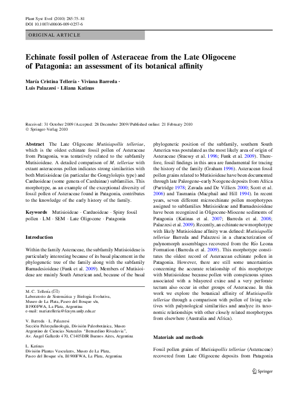 (PDF) Echinate fossil pollen of Asteraceae from the Late Oligocene of ...