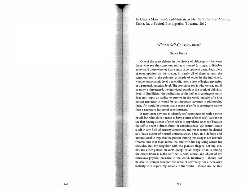(PDF) What Is Self-Consciousness?