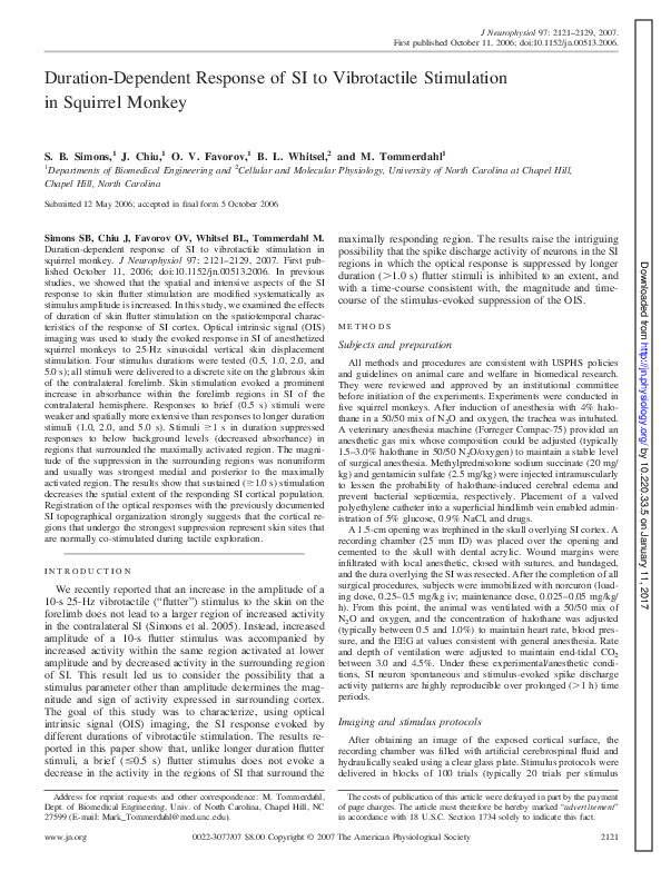 Pdf Hemodynamic Response To Single Whisker Stimulation In Rat Barrel