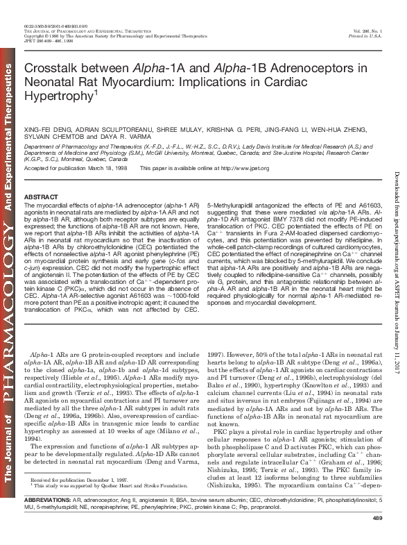 (PDF) Crosstalk between alpha-1A and alpha-1B adrenoceptors in neonatal ...