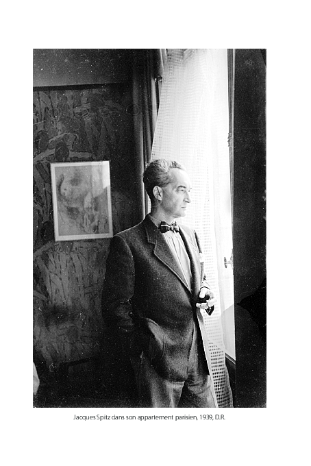 (PDF) Natacha Vas-Deyres, "Avant-propos", in Patrick Guay, Jacques ...