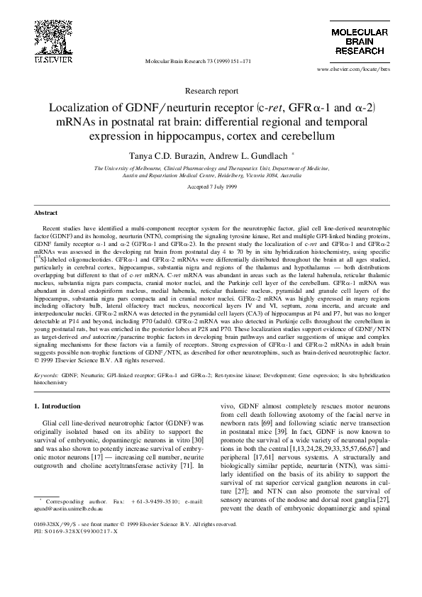 (PDF) Localization of GDNF/neurturin receptor (c-ret, GFR [alpha]-1 and ...
