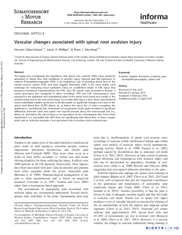 (PDF) Vascular changes associated with spinal root avulsion injury ...