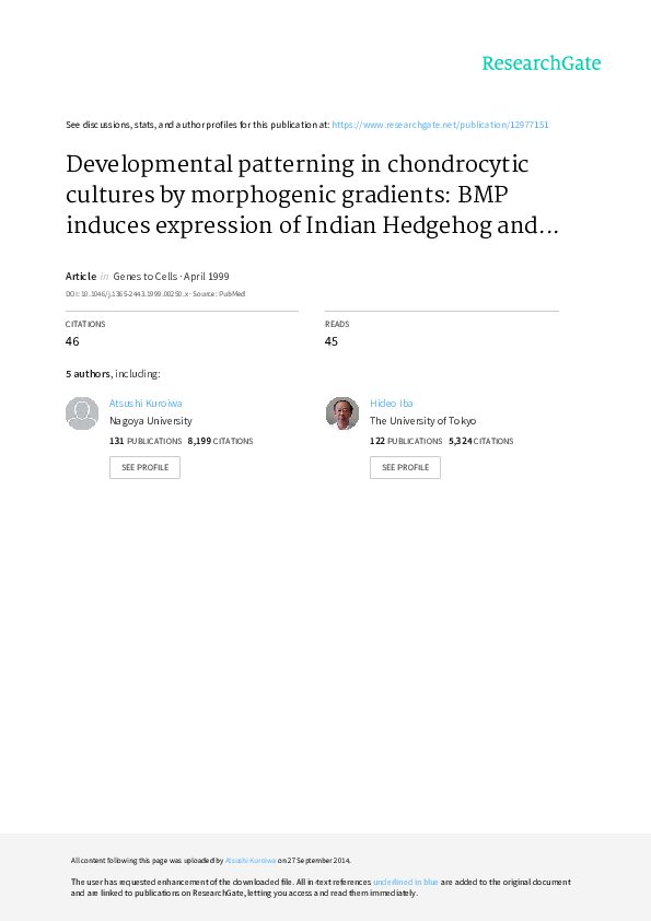 (PDF) Developmental patterning in chondrocytic cultures by morphogenic ...