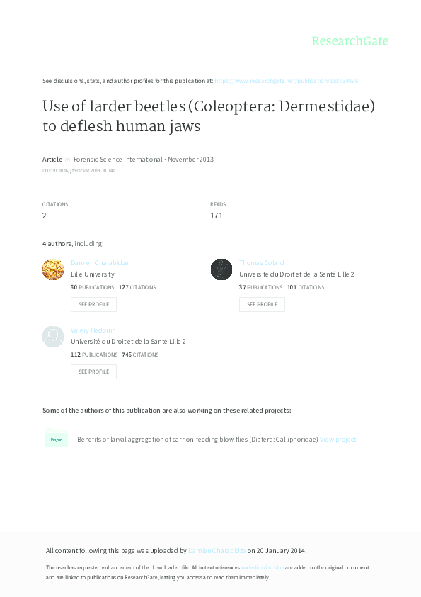 (PDF) Use of larder beetles (Coleoptera: Dermestidae) to deflesh human jaws