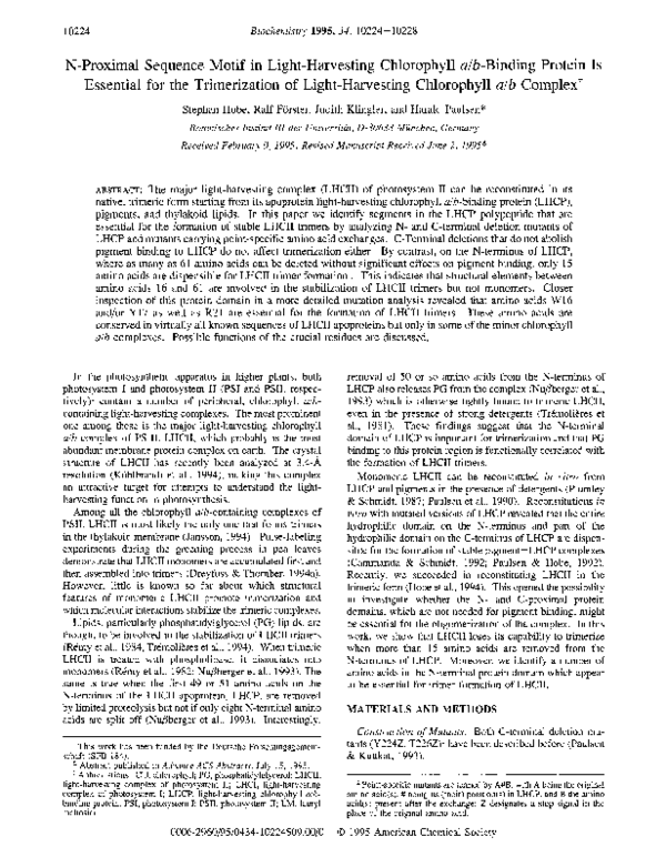 (PDF) Essential Motif for LHCP Trimerization