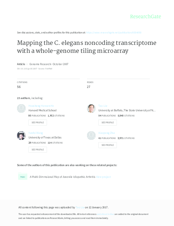 Pdf Mapping The C Elegans Noncoding Transcriptome With A Whole