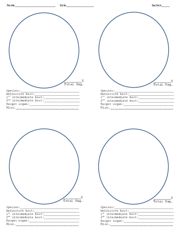 (PDF) Parasite Drawing Template | Jose Alejandro Gigato - Academia.edu