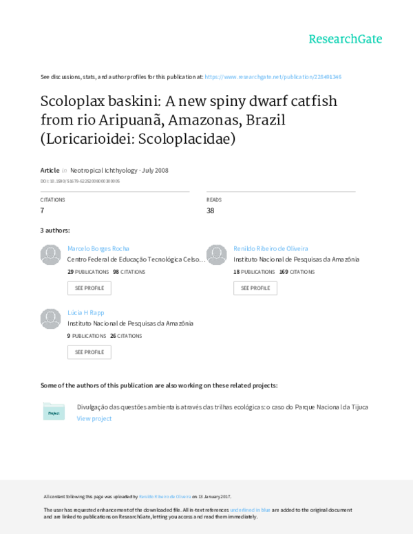 (PDF) Scoloplax baskini: a new spiny dwarf catfish from rio Aripuanã ...