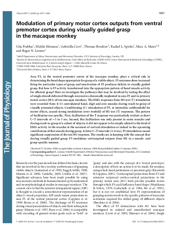 (PDF) Modulation of primary motor cortex outputs from ventral premotor cortex during visually ...