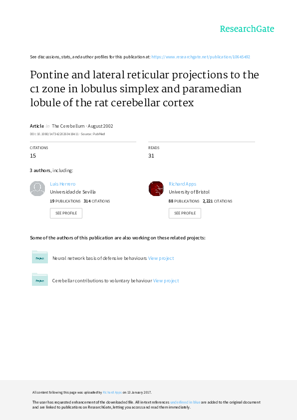 (PDF) Visual pontocerebellar projections in the macaque | Jan Voogd ...