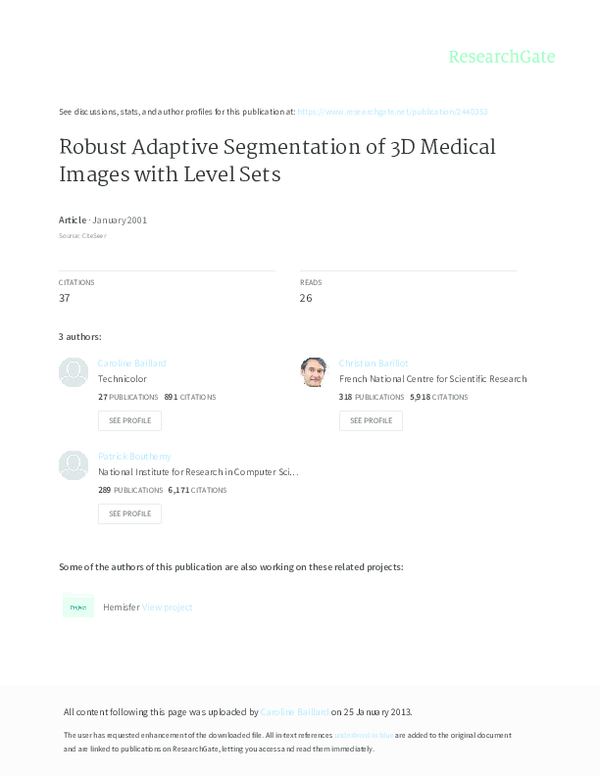 (PDF) Robust adaptive segmentation of 3D medical images with level sets ...