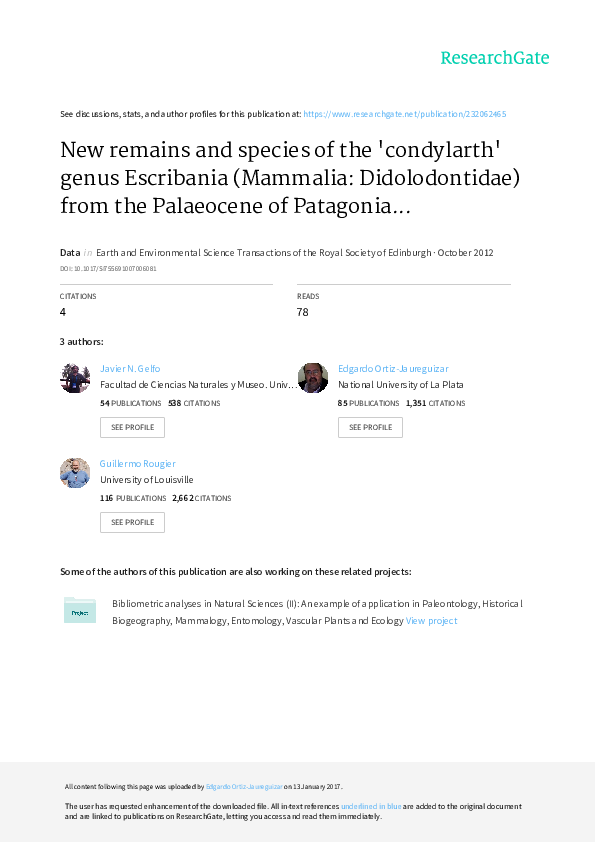 (PDF) New remains and species of the 'condylarth'genus Escribania ...