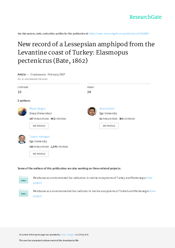 (PDF) New record of a Lessepsian amphipod from the Levantine coast of ...