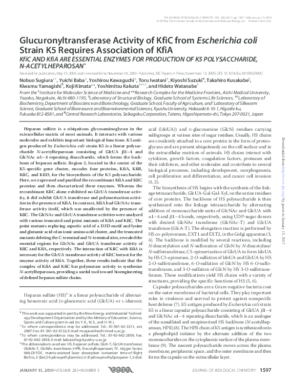 (PDF) Glucuronyltransferase Activity of KfiC from Escherichia coli ...