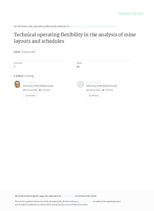 (PDF) Technical operating flexibility in the analysis of mine layouts ...